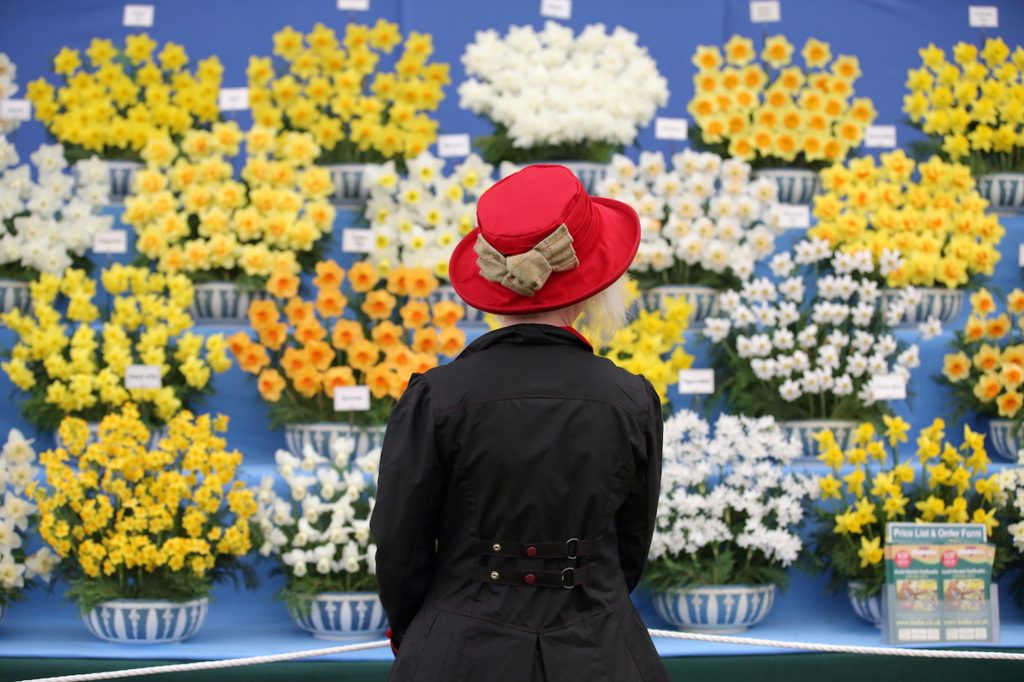 RHS Flower Shows: Browse our gallery and visit with Sisley Garden Tours