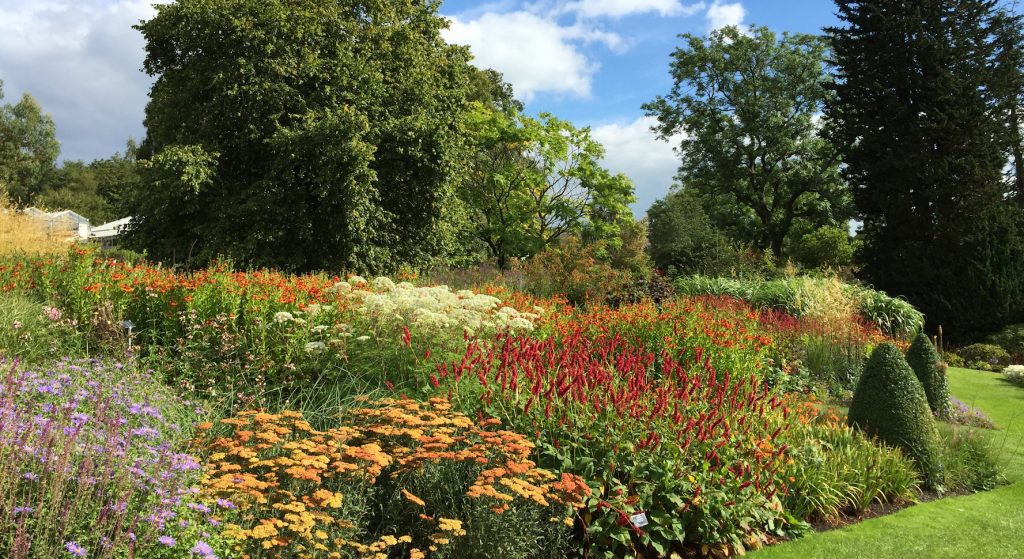 English Gardens: Visit RHS Harlow Carr Garden with Sisley Garden Tours