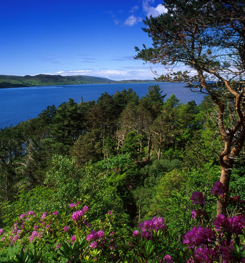 Inverewe Garden - Sisley Garden Tours