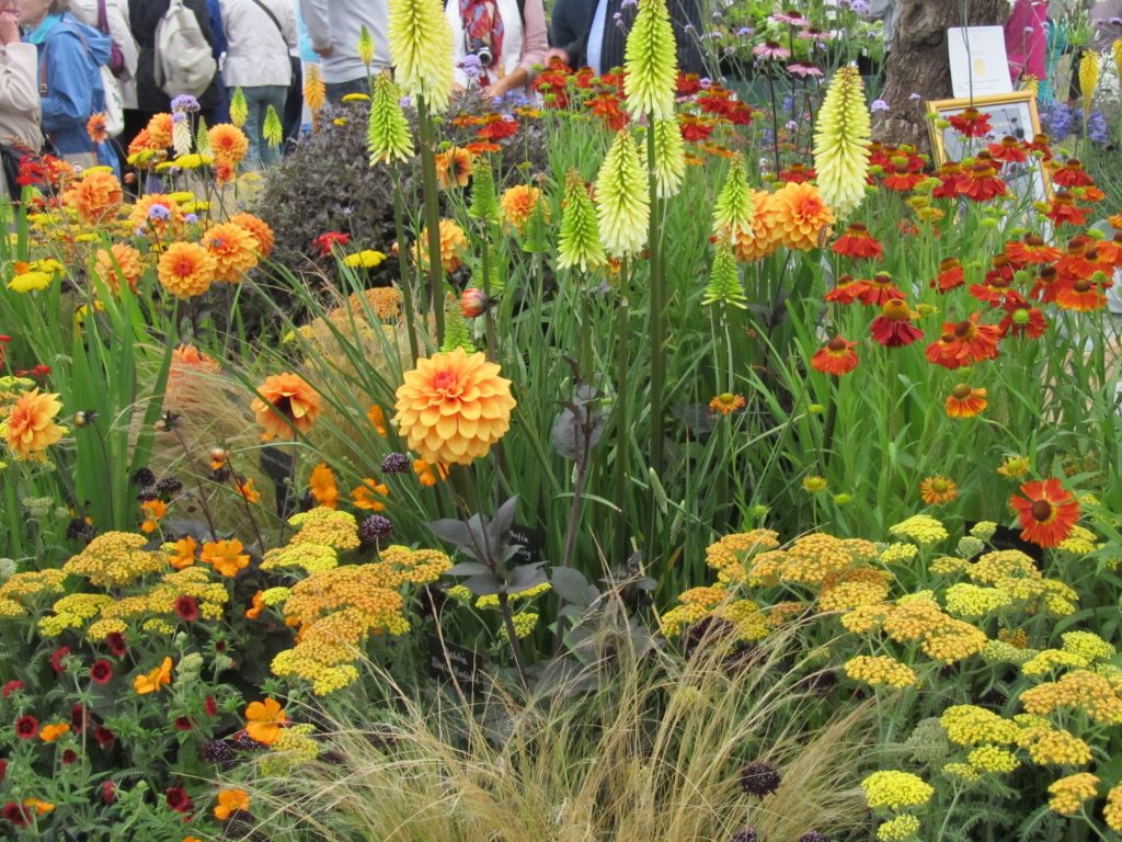 RHS Flower Shows: Browse our gallery and visit with Sisley Garden Tours