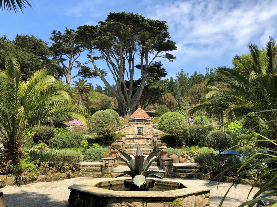 Tresco Abbey Gardens - Sisley Garden Tours