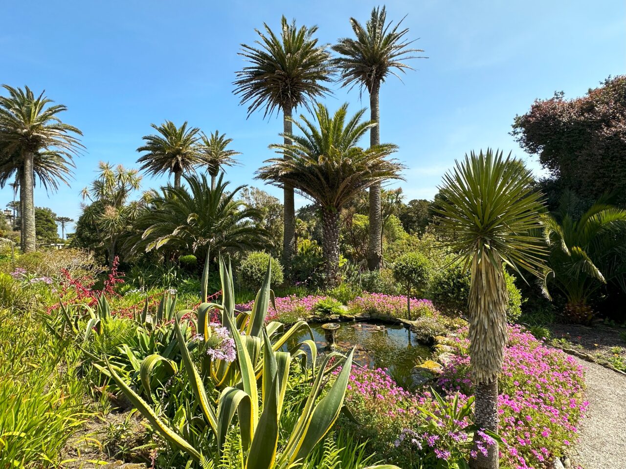 Garden Gems of Cornwall, Devon & the Isles of Scilly 2026