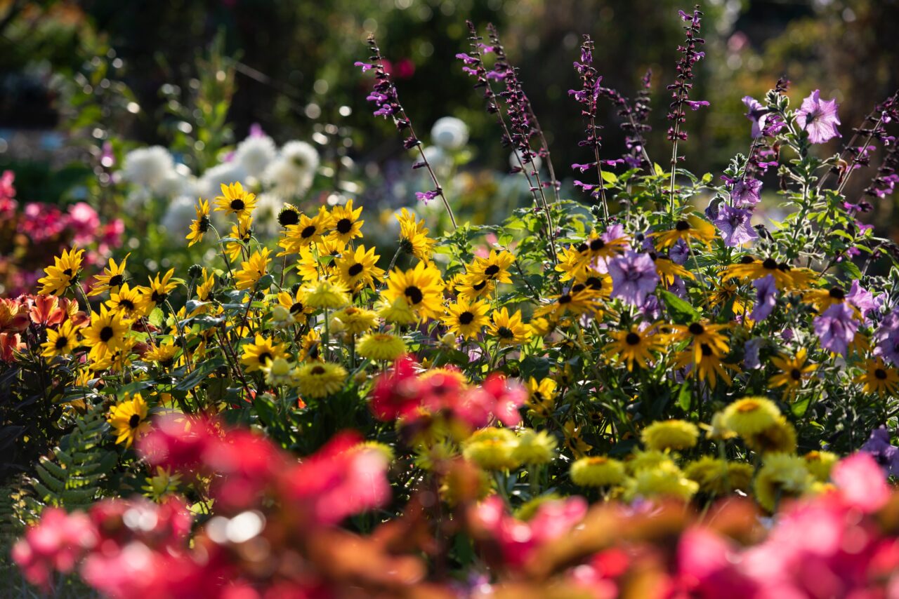 Hidden Gardens of Eastern England with Sandringham Flower Show 2026