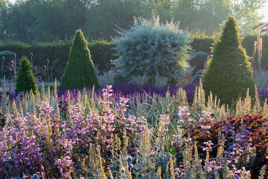Modern Country Garden at RHS Garden Hyde Hall in June. - Sisley Garden ...