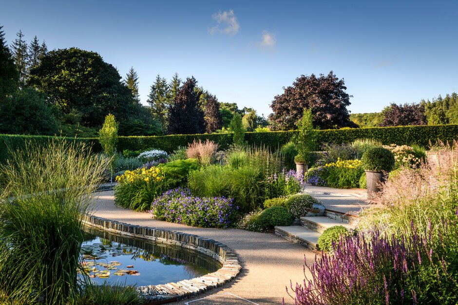 The Cool Garden. RHS Garden Rosemoor. July 2020. - Sisley Garden Tours