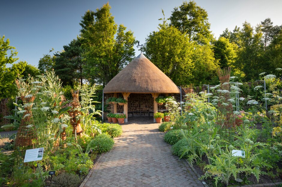 The Vegetable Garden at RHS Garden Rosemoor, June. - Sisley Garden Tours
