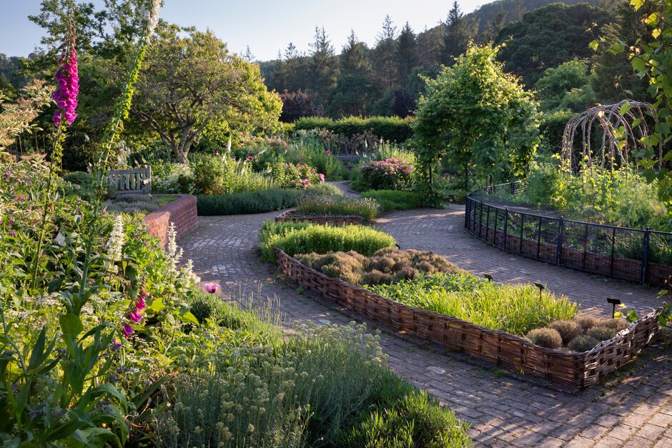 The Herb, Potager and Cottage gardens at RHS Garden Rosemoor in June ...